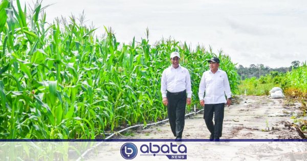 Mentan Amran Bantah Food Estate Gunakan Pot